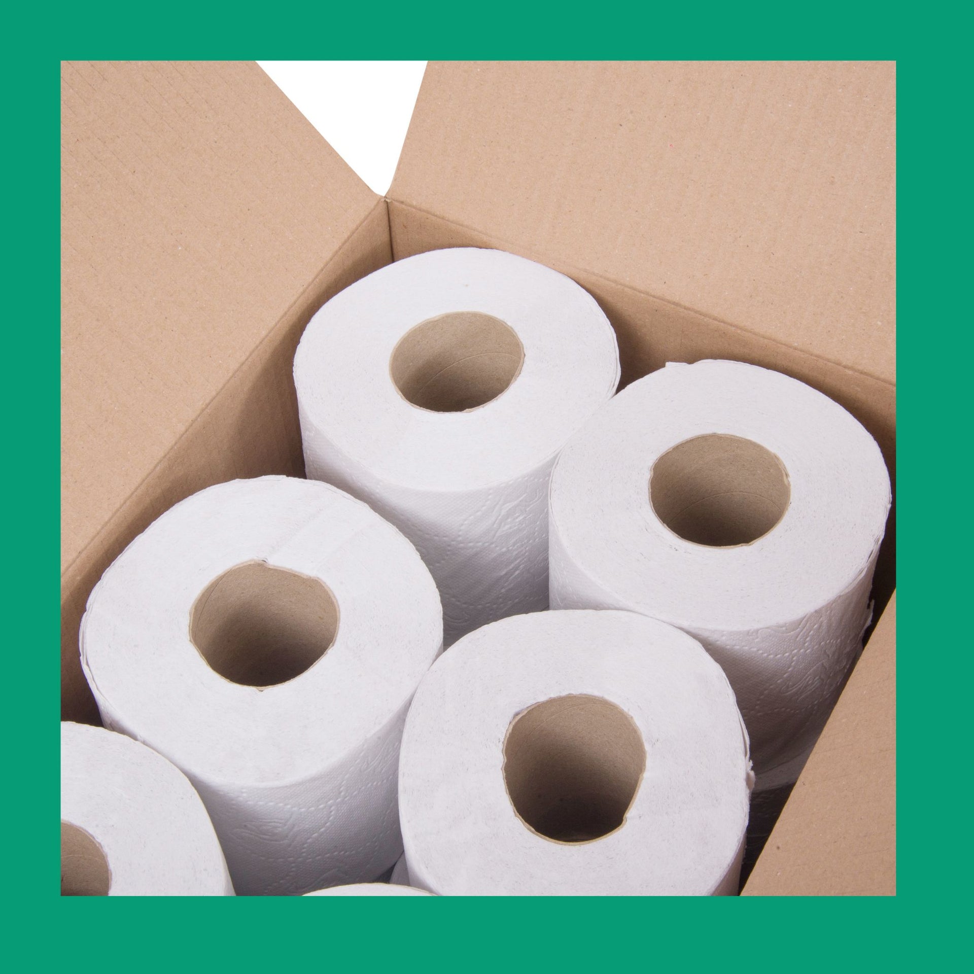 UK made - Recycled toilet roll | Serious Tissues